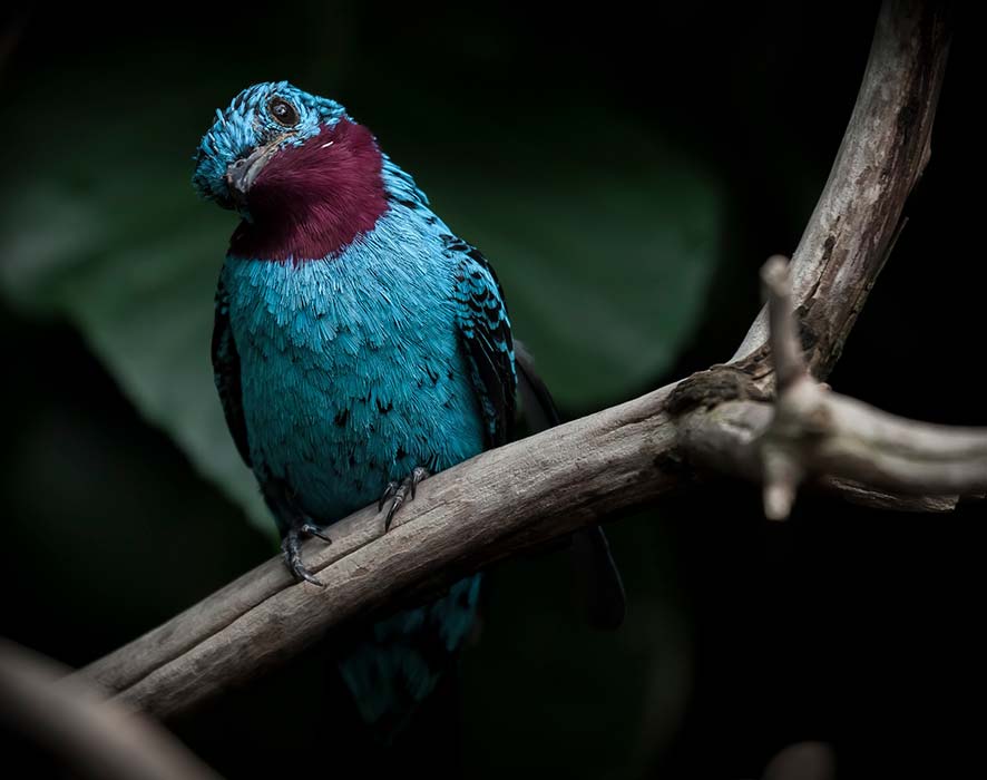 Wildlife Watching - Crown Lake Resort & RV Park